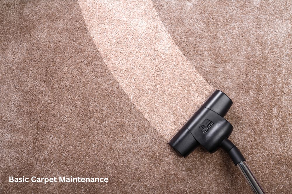 Low Maintenance Carpet Options | Your Trusted Flooring Retailer
